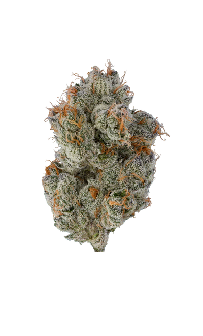 The Story of Khalifa Kush | Khalifa Kush